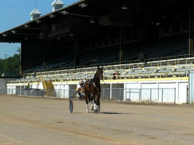 Remembering Jackson Harness Raceway | JTV