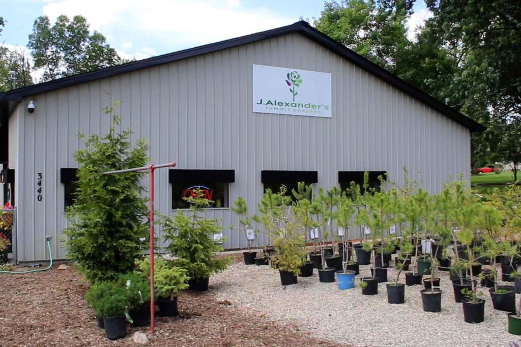 The-Morning-Show-on-the-Road-Andy-and-Jen-visit-J.-Alexander's-Florist ...