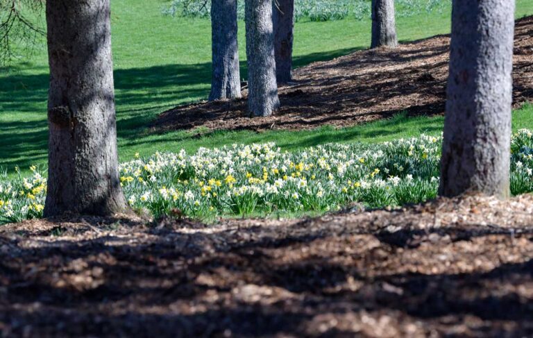 Events of April 10, 11, and 12, 2026 | JTV