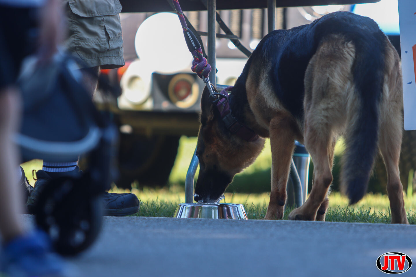 Breakthrough T1D Walk 6-13-26 | Photo Gallery | JTV